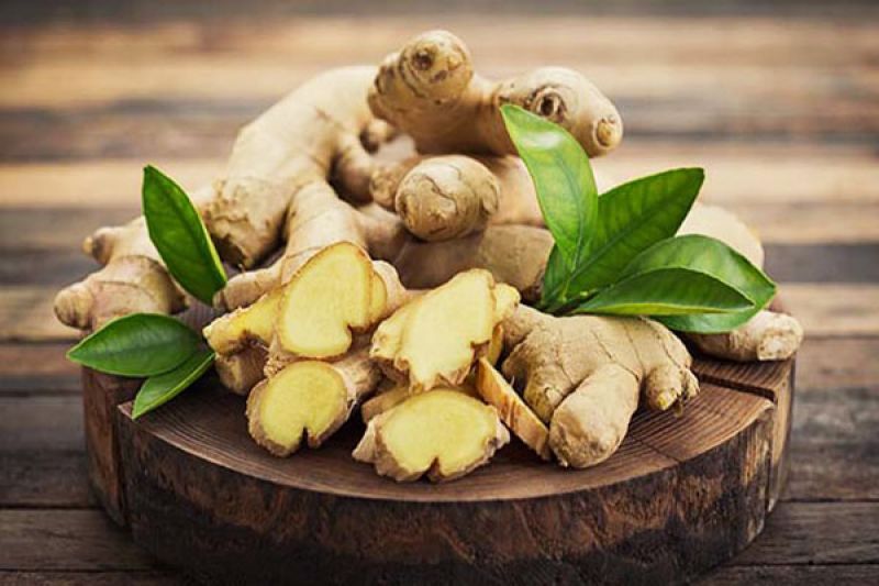 Kỹ thuật trồng gừng